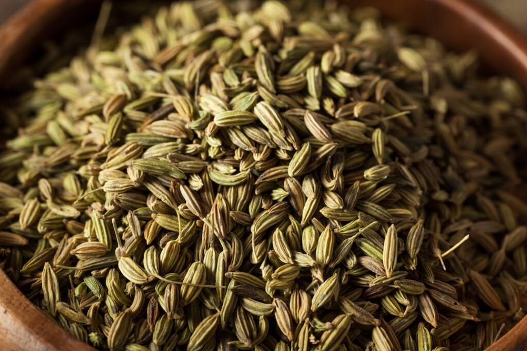 Fennel Seed Sweet Licorice Like Spice Fennel Seed Sweet Licorice Like Spice