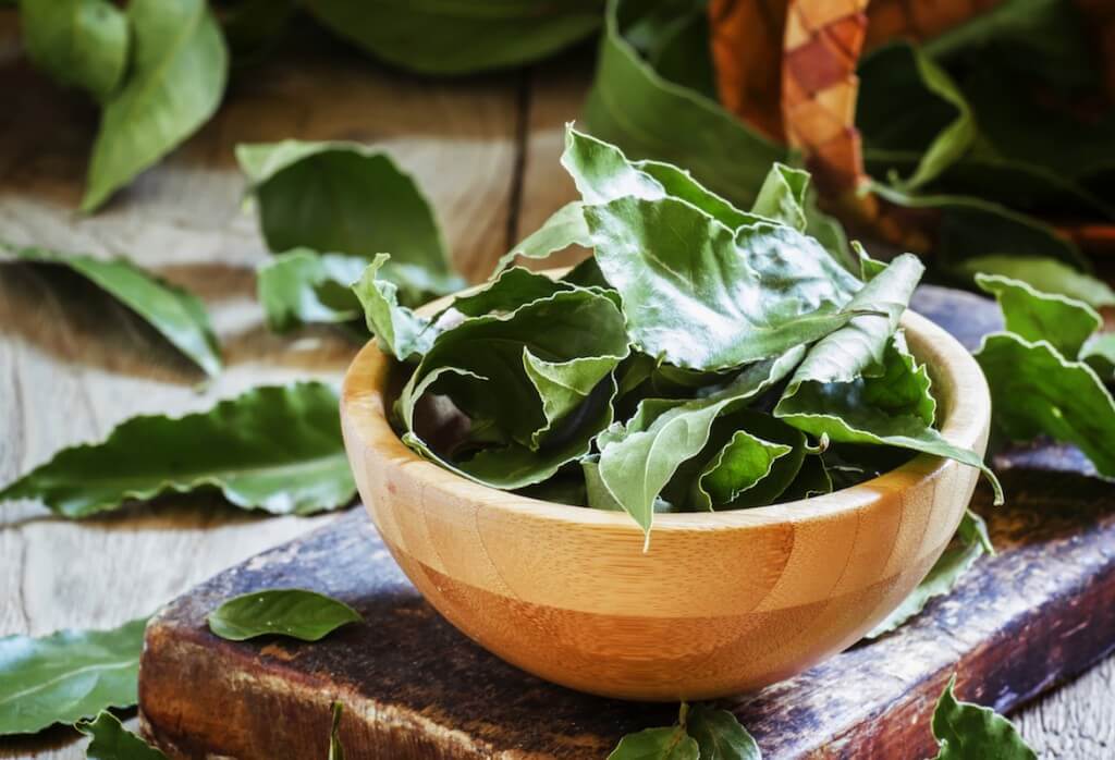 What s A Good Bay Leaf Substitute 