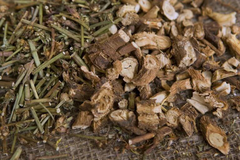 Chicory: From Salads To Coffee – SPICEography