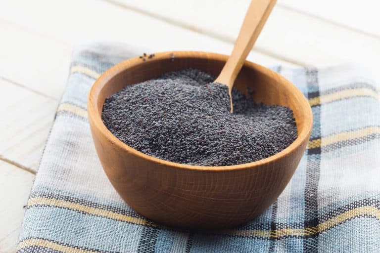 Poppy Seeds: An Ancient Sumerian Baking Spice – SPICEography