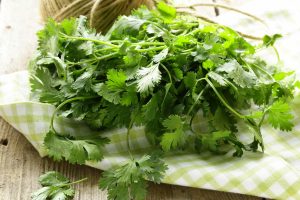 Cooking With Cilantro: The Dos And Don’ts – SPICEography