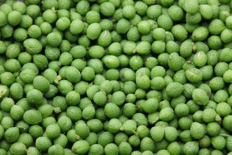 Sansho Pepper: The Japanese Version Of Szechuan Pepper – SPICEography