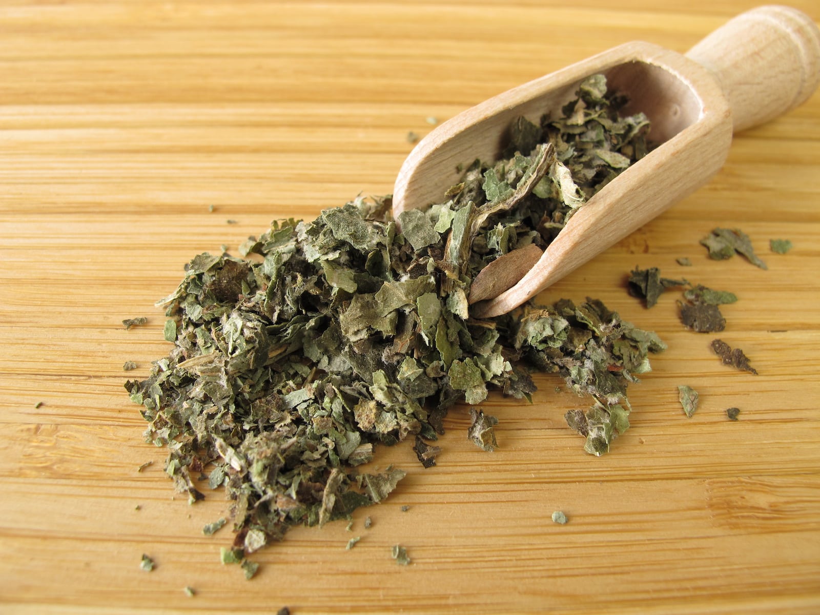 butterbur-the-migraine-herb