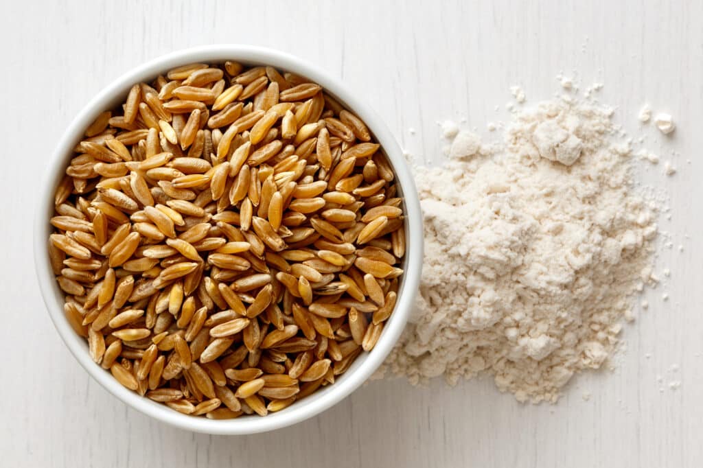 Kamut Flour King Tut s Flour SPICEography