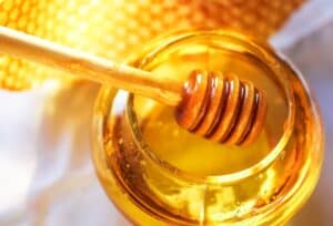 Maple Syrup Vs. Honey: SPICEography Showdown