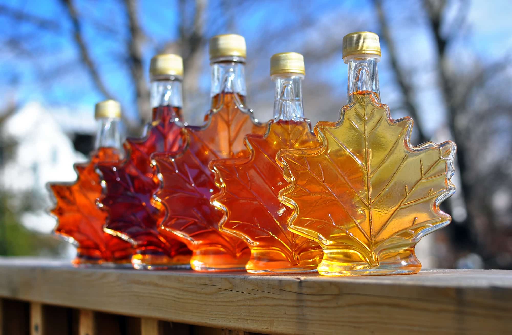 Maple Syrup Grades What They Are And What To Expect
