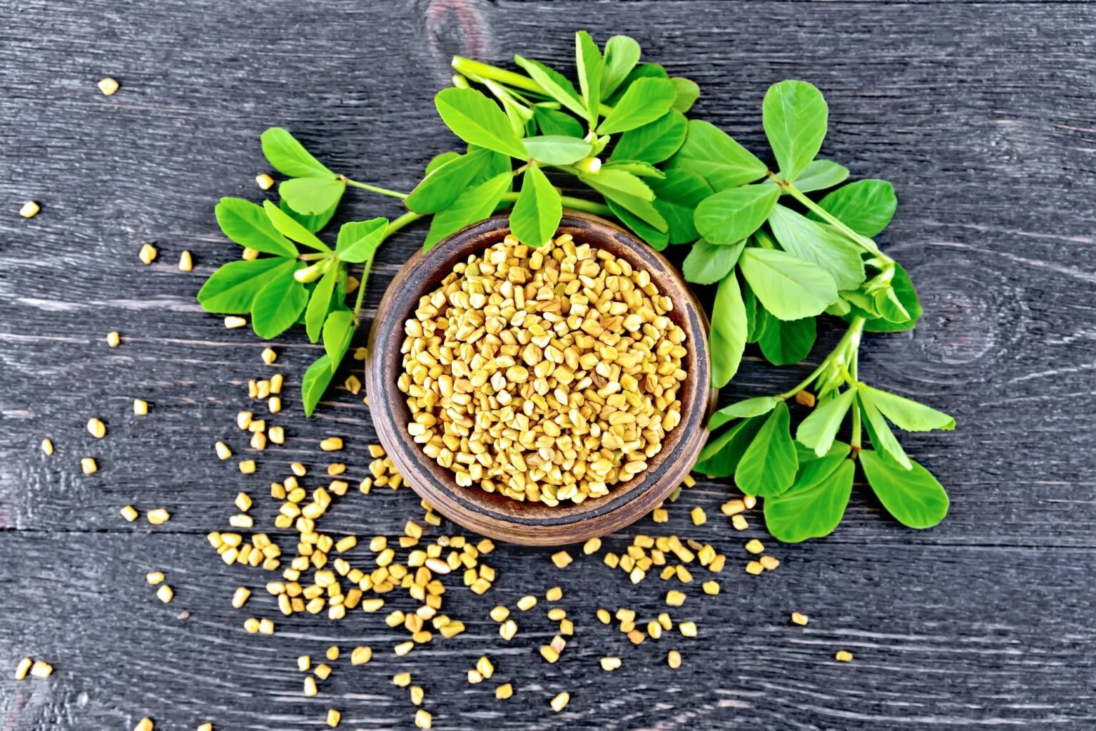 Fenugreek Leaves Vs Seeds SPICEography Showdown