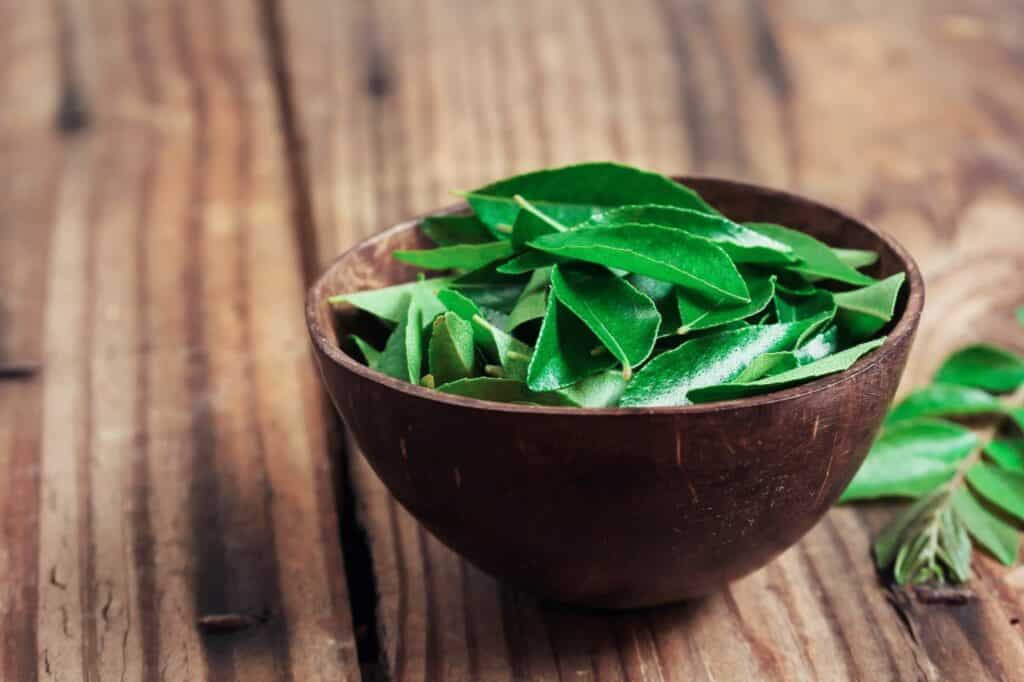 7 Tasty Curry Leaves Uses